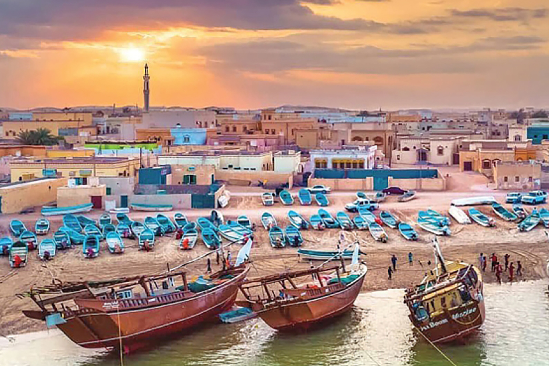 Unique Oman - Desert Flower Tours