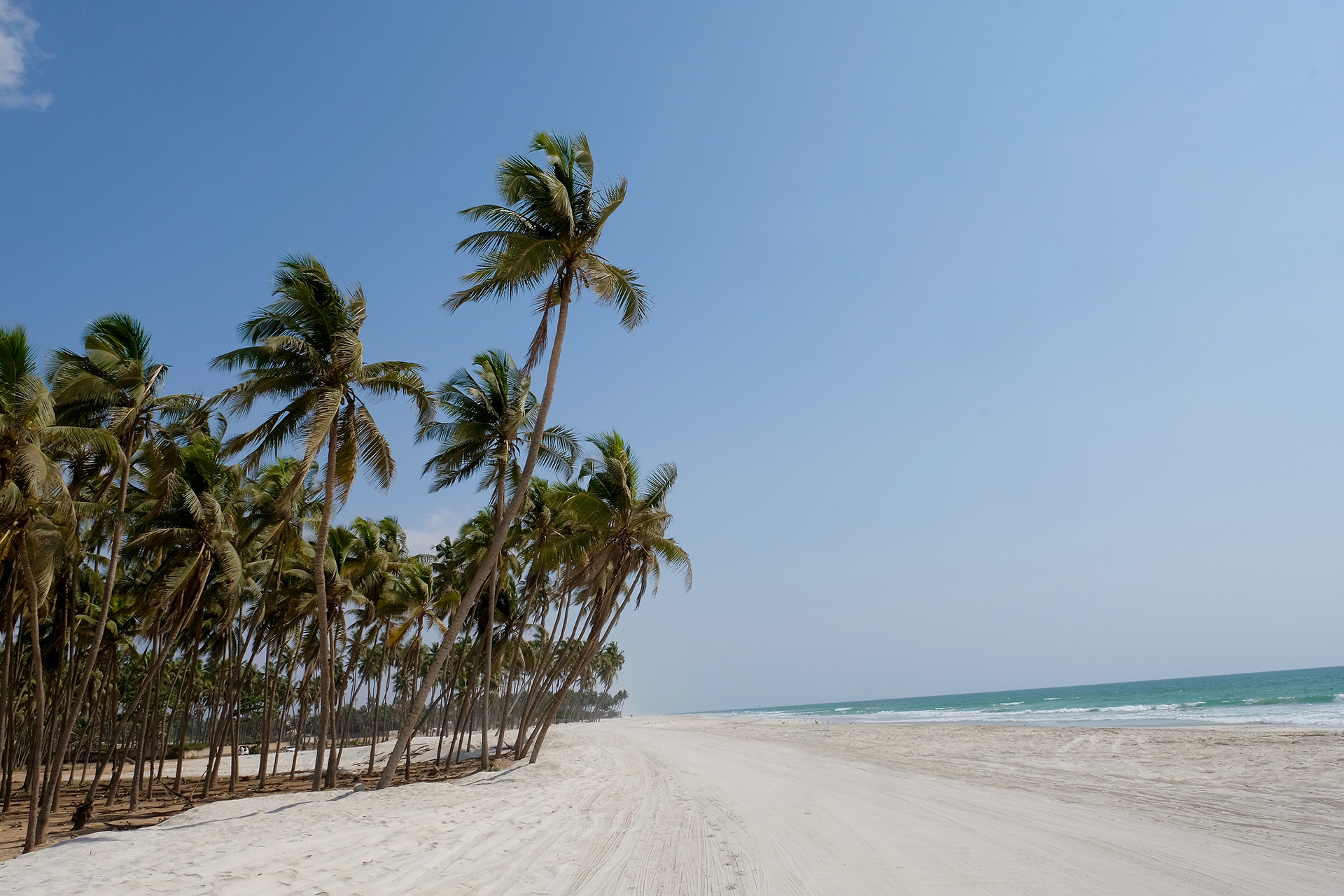 Salalah Package - Desert Flower Tours