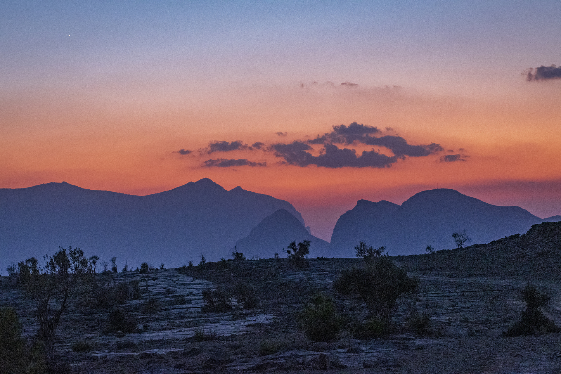 Unique Oman - Desert Flower Tours